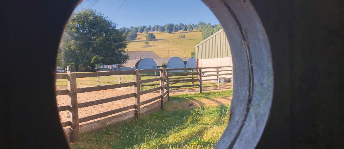 Building The Future - UCD Connections