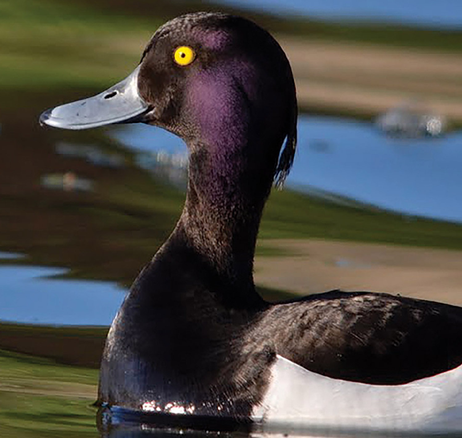 Campus News 2023 - UCD Connections